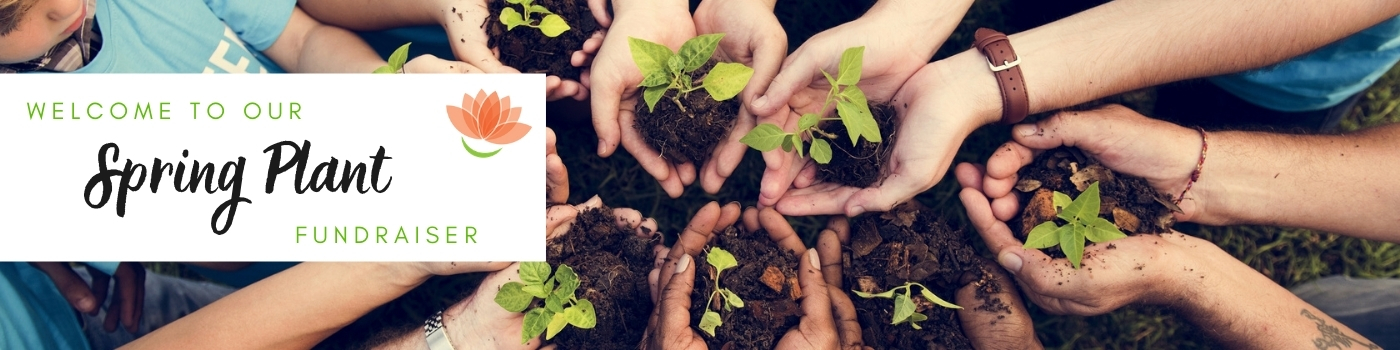 Little Prairie Elementary